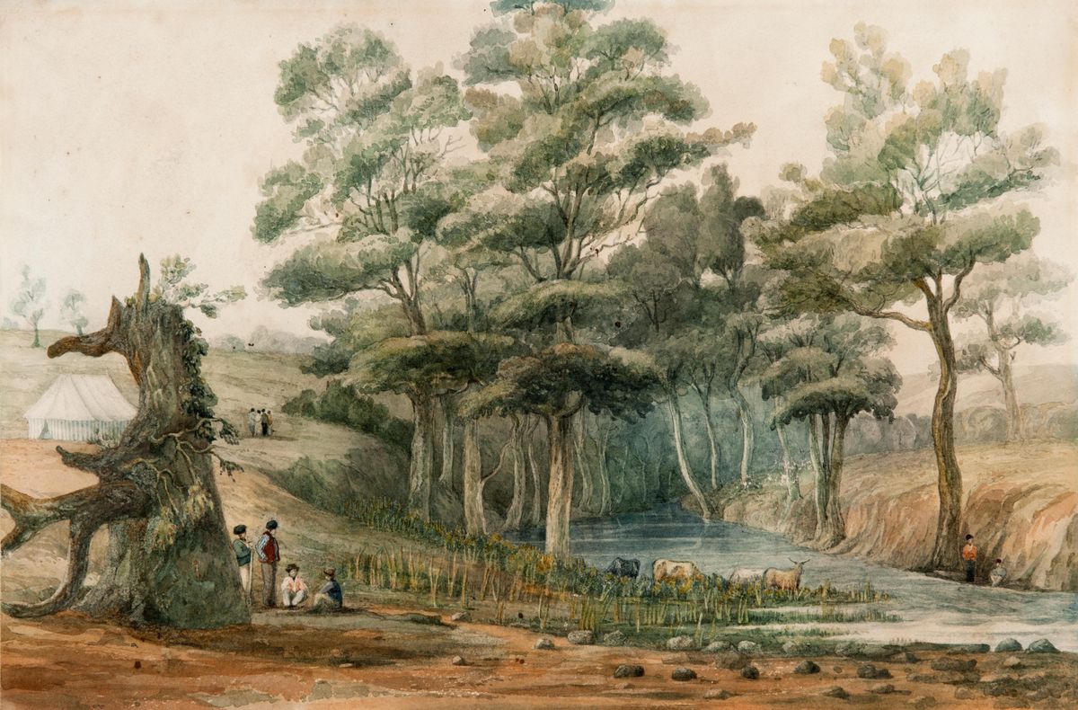 The Para about twenty-five miles north of Adelaide 1839 - AGSA Collection