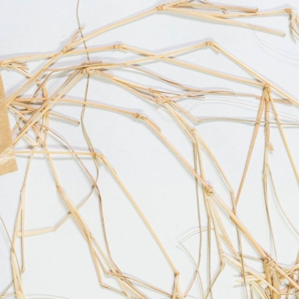 Design | Isolate - Australian Design Centre