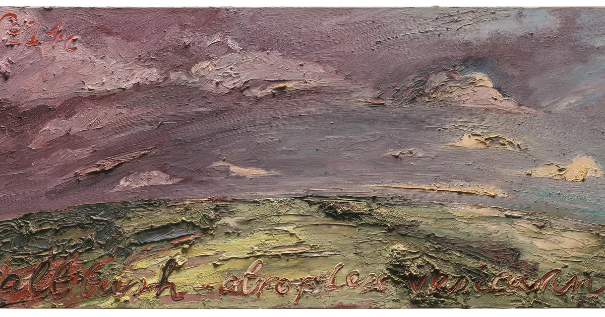 Saltbush atroplex vesicarin - AGSA Collection