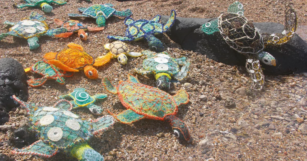 Erub Arts Collaborative - AGSA