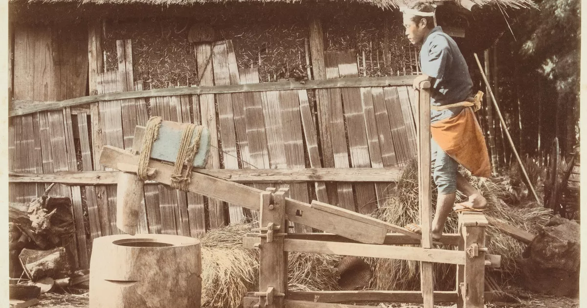 Foot Mill for Rice [Feet Mill of Rice] - AGSA Collection