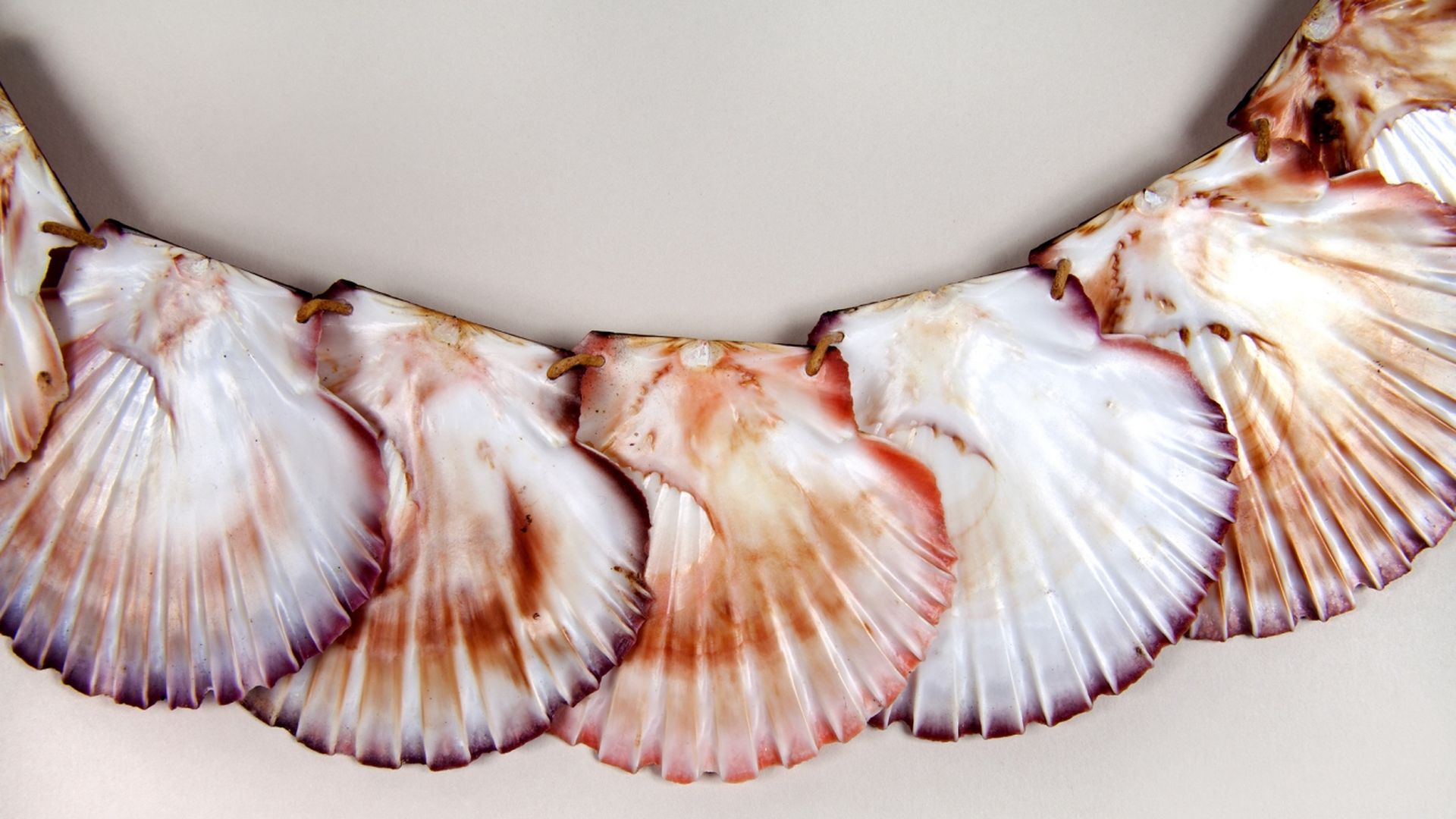 First Nations Craft and Design - Australian Design Centre