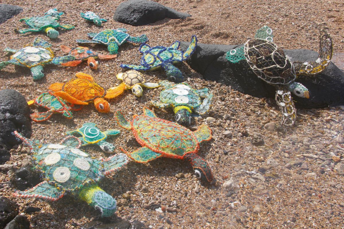 Erub Arts Collaborative - AGSA