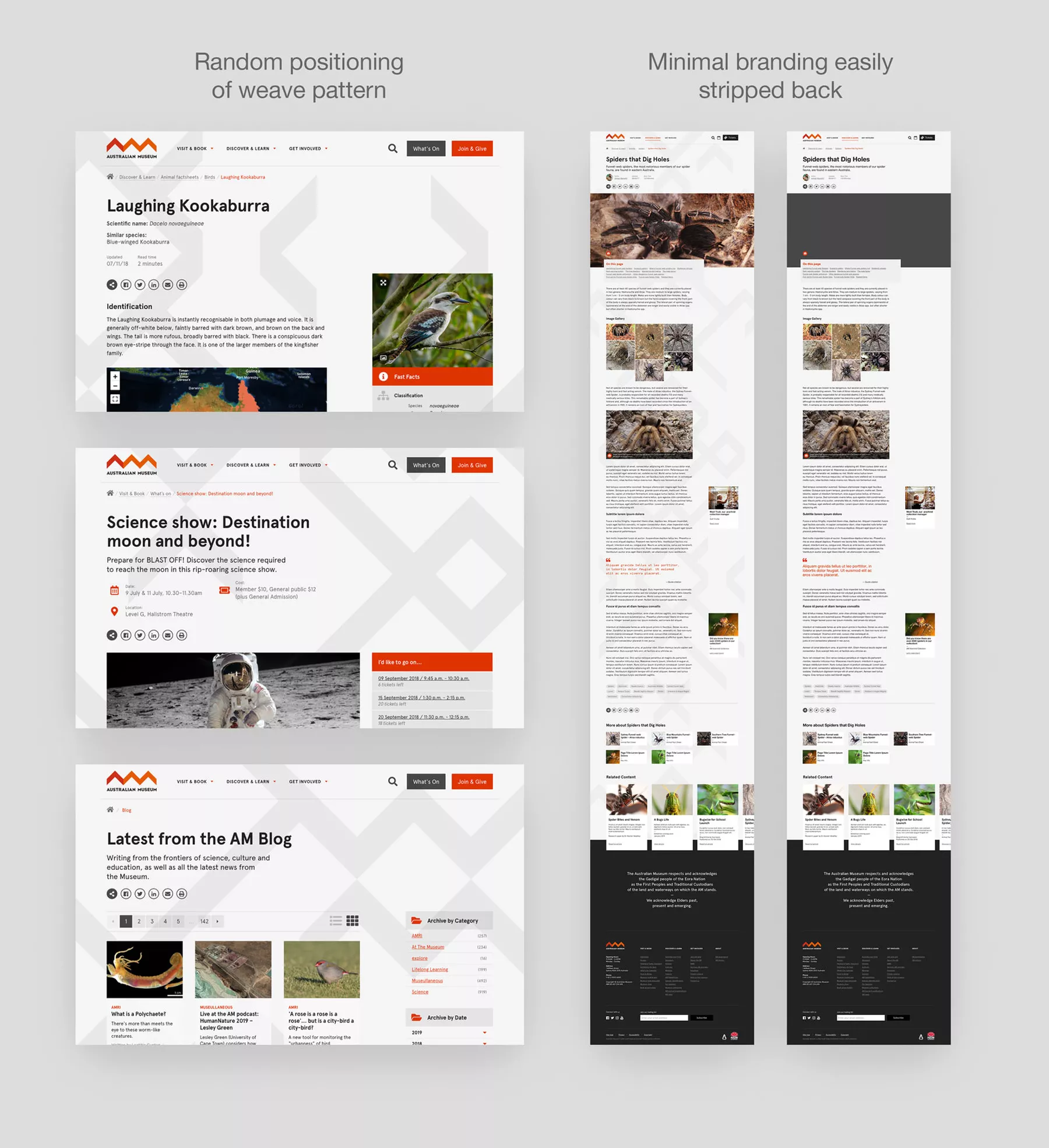 Digital brand extension: Designing the Australian Museum website