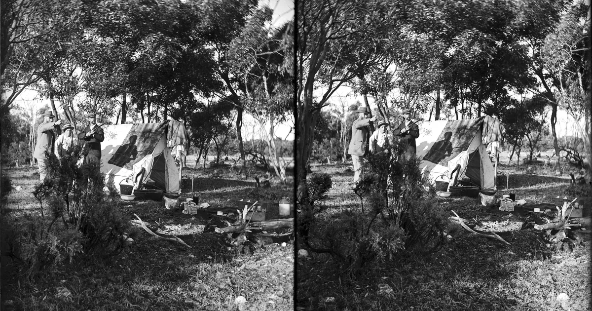Tantanoola tiger - AGSA Collection
