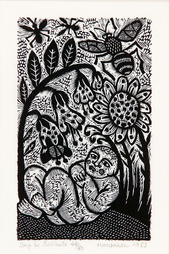 Artist in Focus: Barbara Hanrahan - AGSA