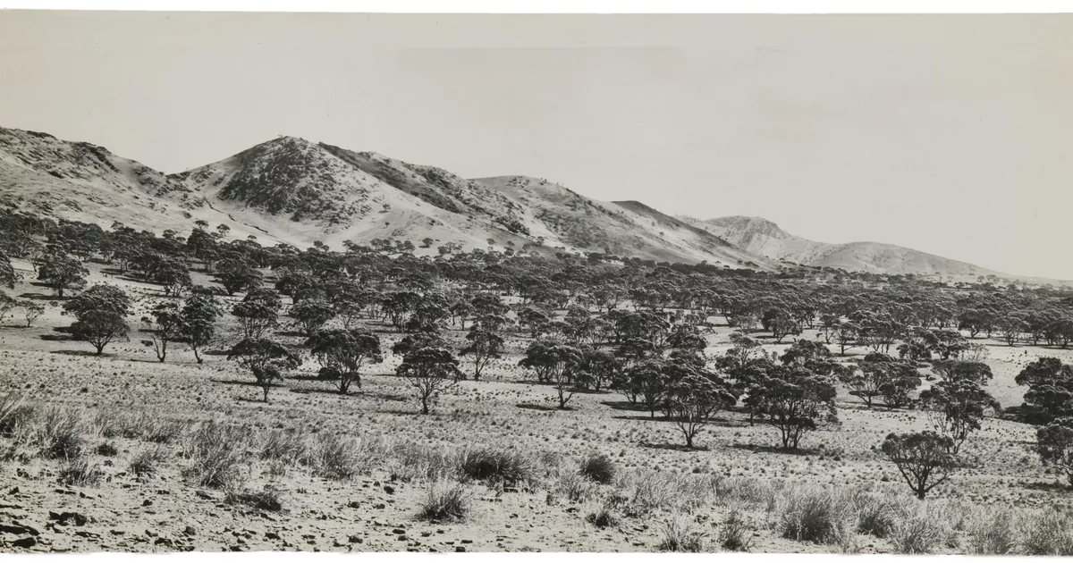 Mount Bryan and Range - AGSA Collection