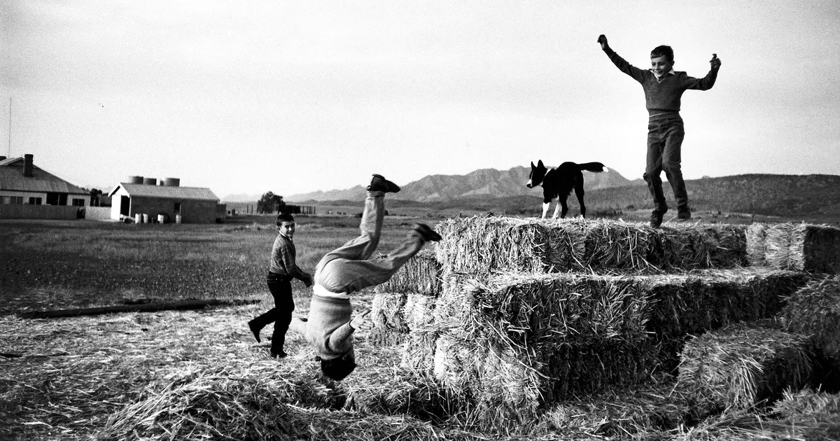 Outback children, South Australia - AGSA Collection