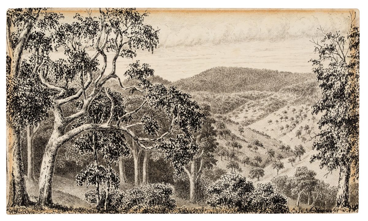 Adelaide Hills landscape - AGSA Collection