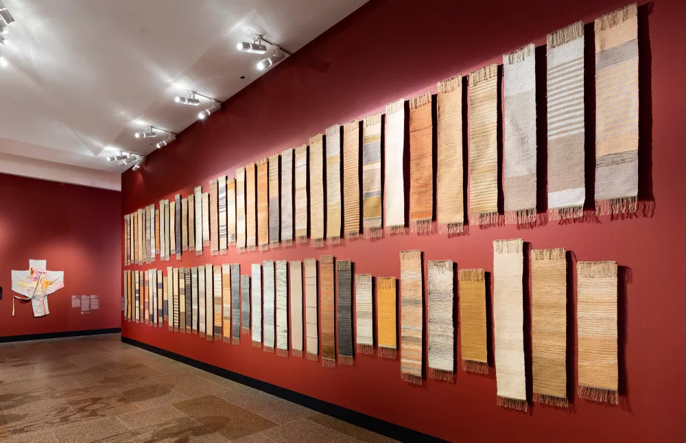 Radical Textiles - AGSA