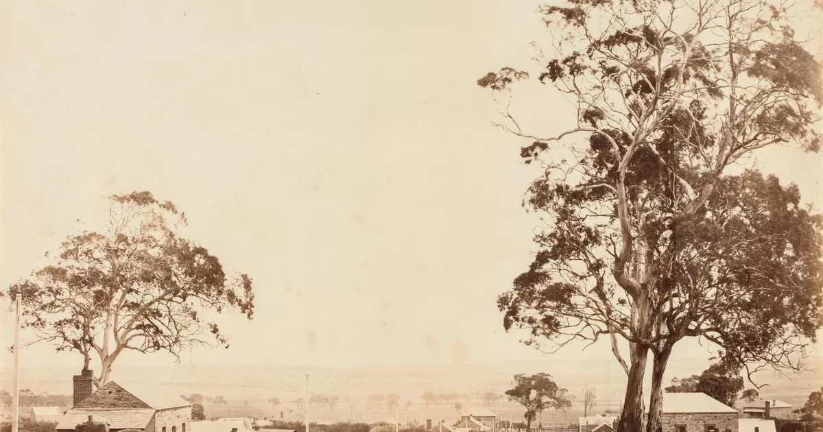 Willunga, South Australia - AGSA Collection