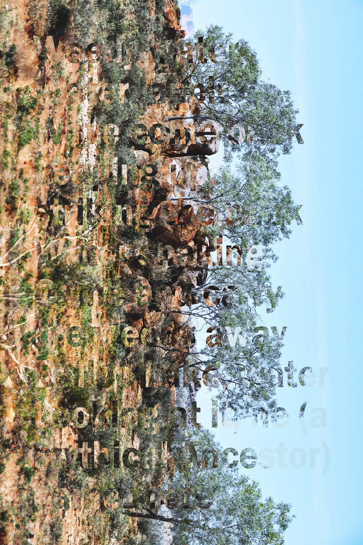 Tarnanthi - The Guildhouse Collections Project + City of Adelaide - AGSA