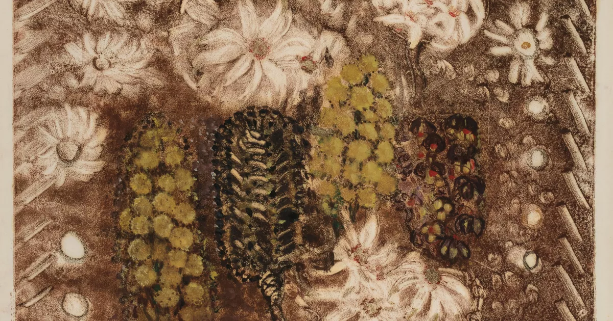 Aboriginal design, wattle - AGSA Collection