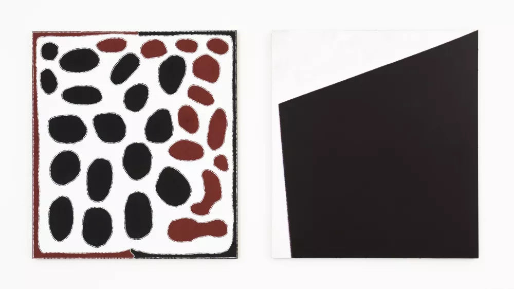 Tuesday Talk - Artist Peter Adsett introduces new display 'Two Laws One ...