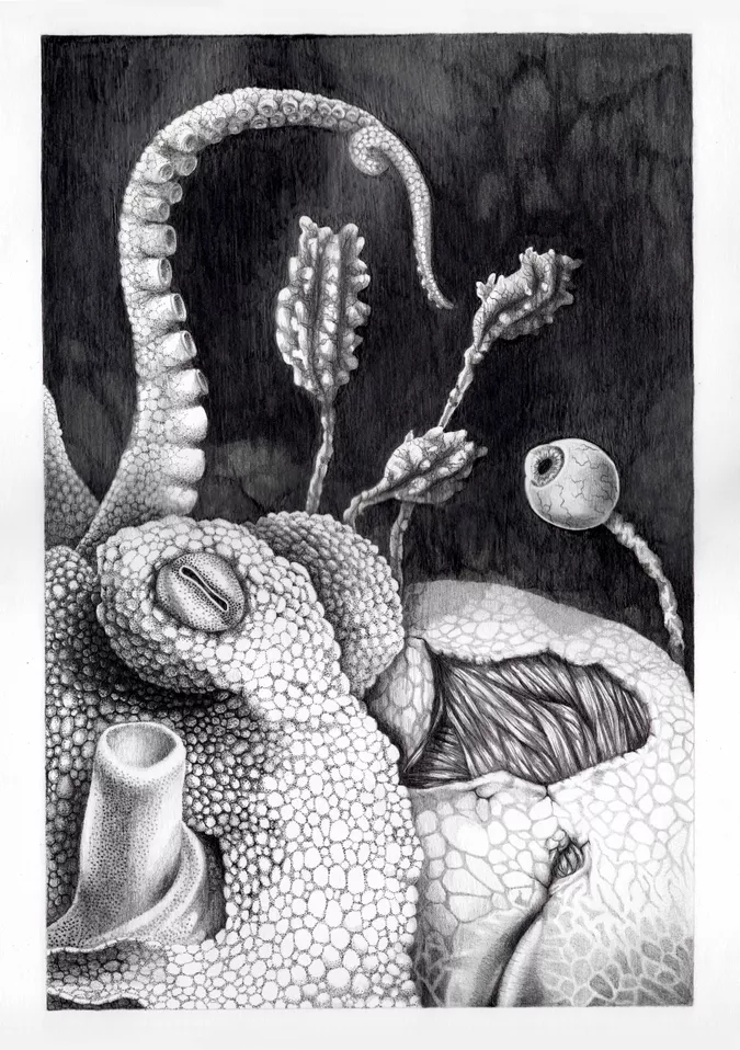 Erin Coates and Anna Nazzari - AGSA