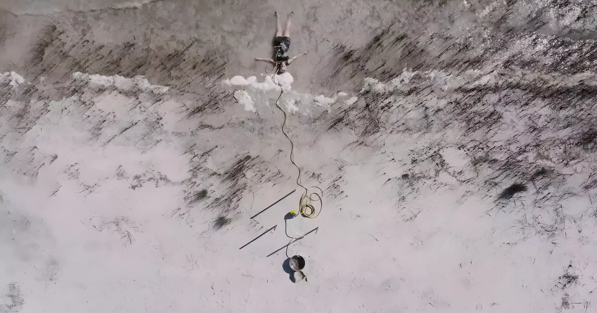 Tarnanthi - Rewriting Landscapes - AGSA