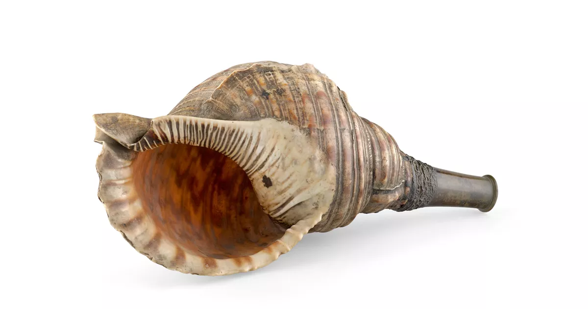 Conch shell trumpet (horagai) - AGSA Collection