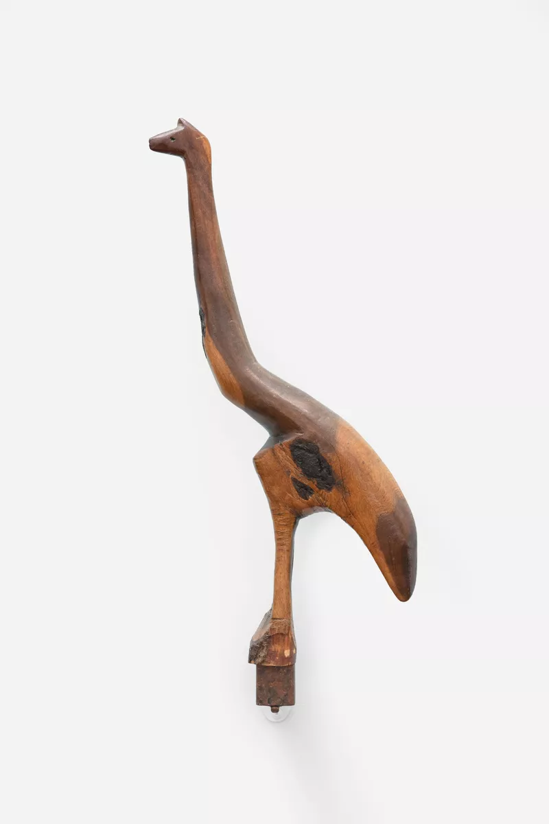 Carved emu - AGSA Collection