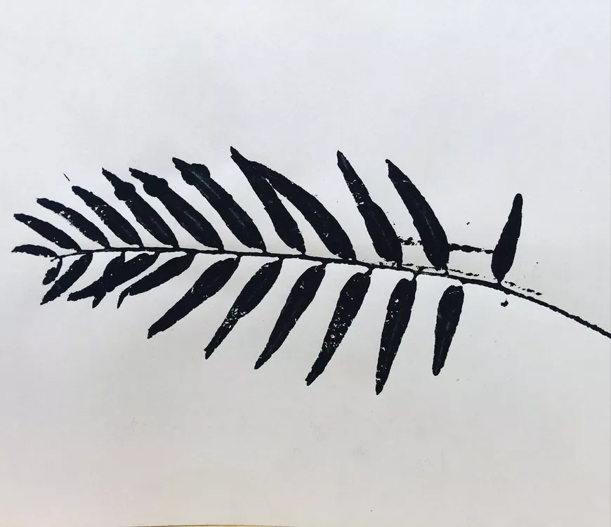 Year 2 Printmaking - Colonel Light Gardens Primary School - AGSA