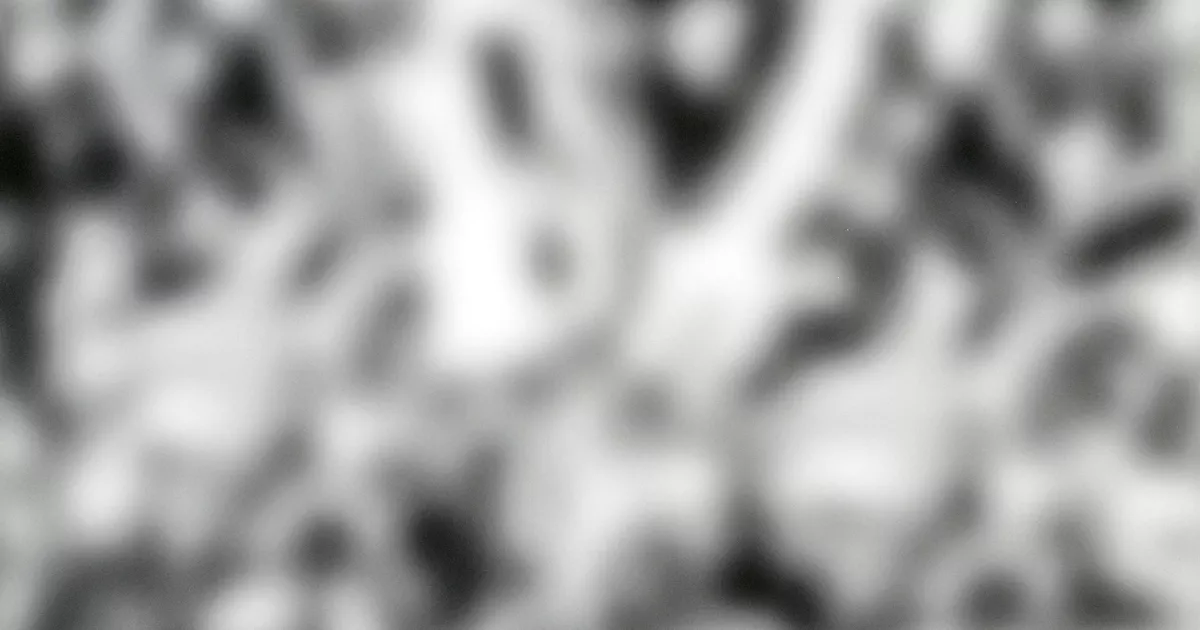 Echo Painting (Untitled) - AGSA Collection