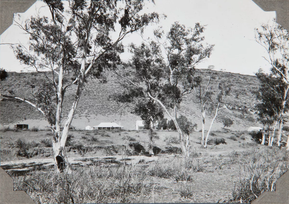 [Loves Creek Homestead] - AGSA Collection