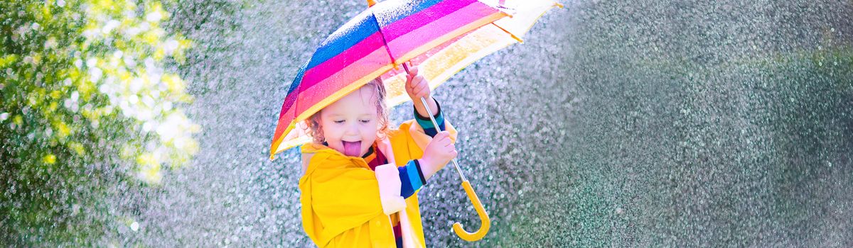Rainwater - Smart Water Advice