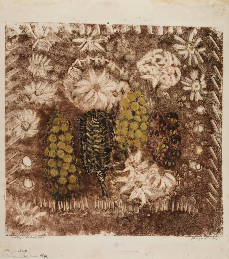 Aboriginal design, wattle - AGSA Collection