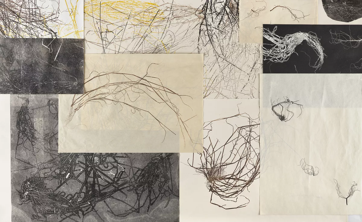 Bridget Currie: each one a world - AGSA