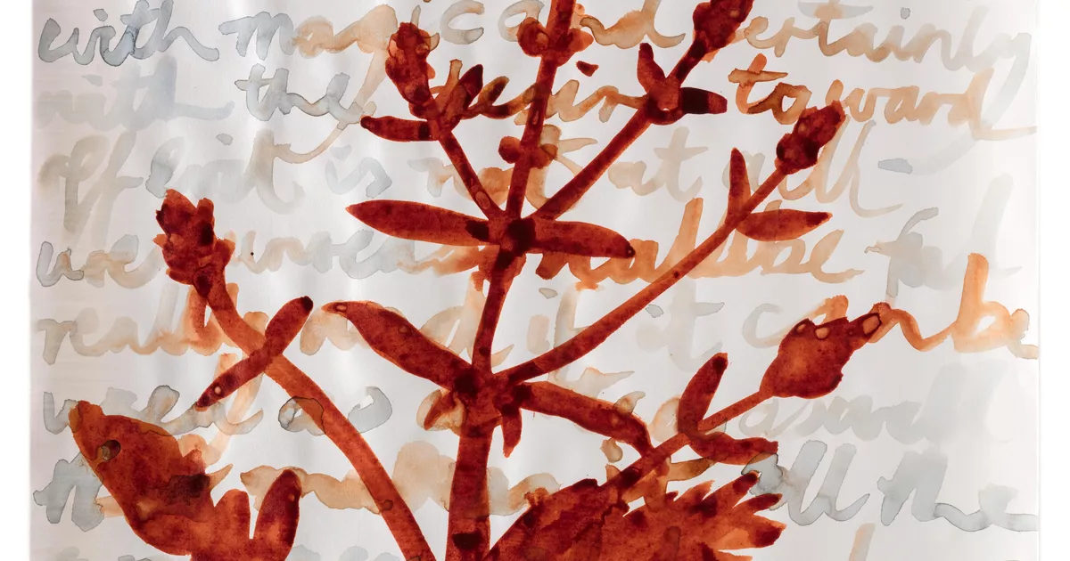 Verrain/Verbena - AGSA Collection