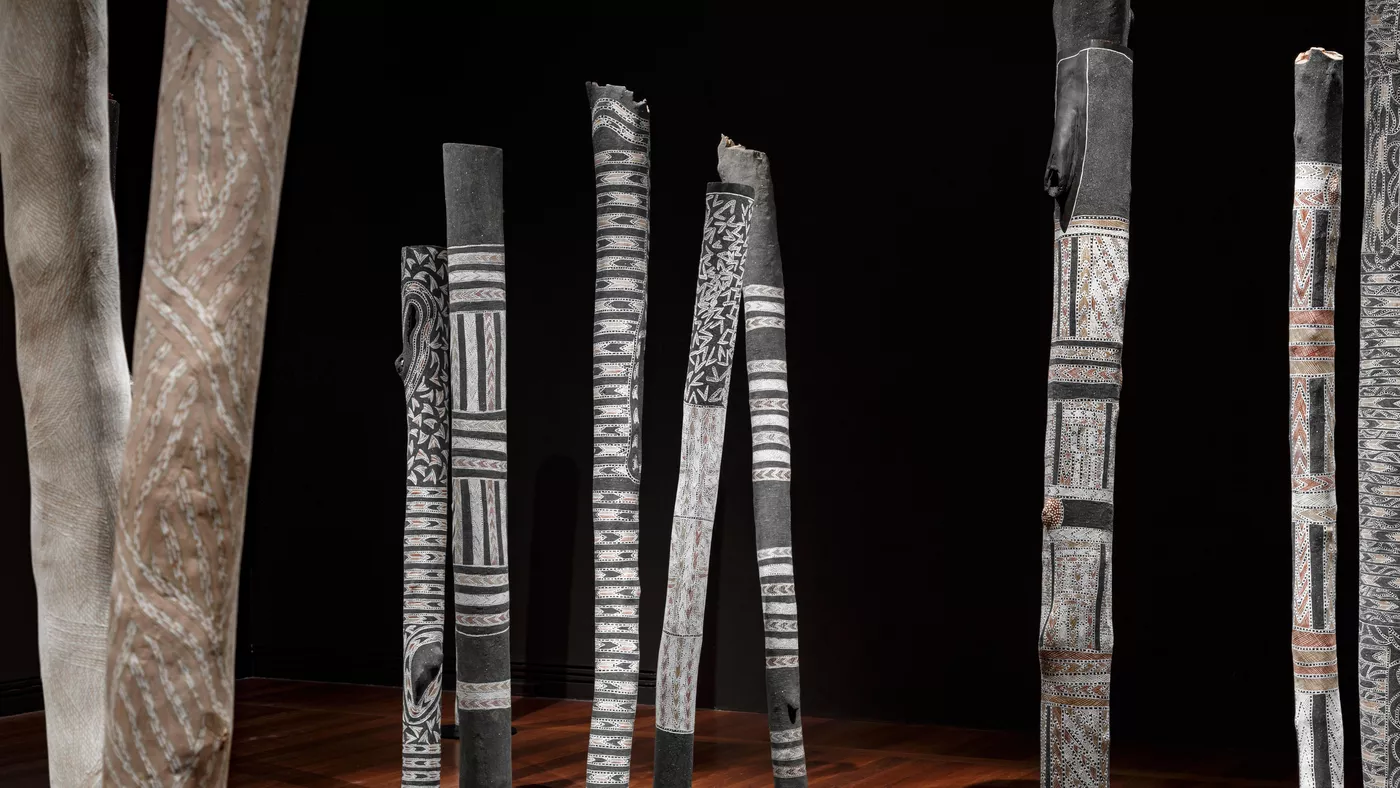 Aboriginal and Torres Strait Islander Art in the Classroom - AGSA