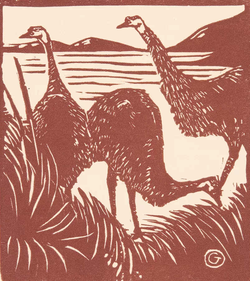 Three emus - AGSA Collection