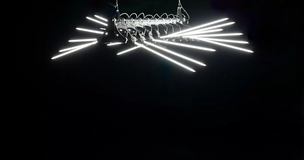 Behind the scenes with the Adelaide Robotics Academy - AGSA