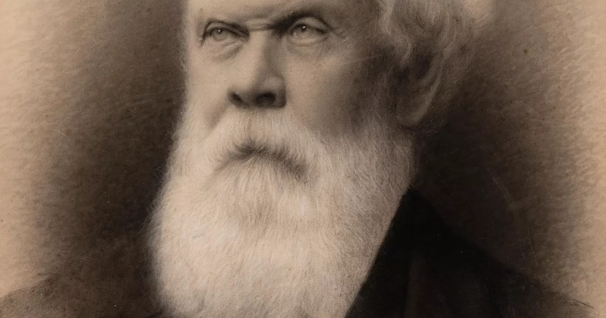 Sir Henry Parkes - AGSA Collection