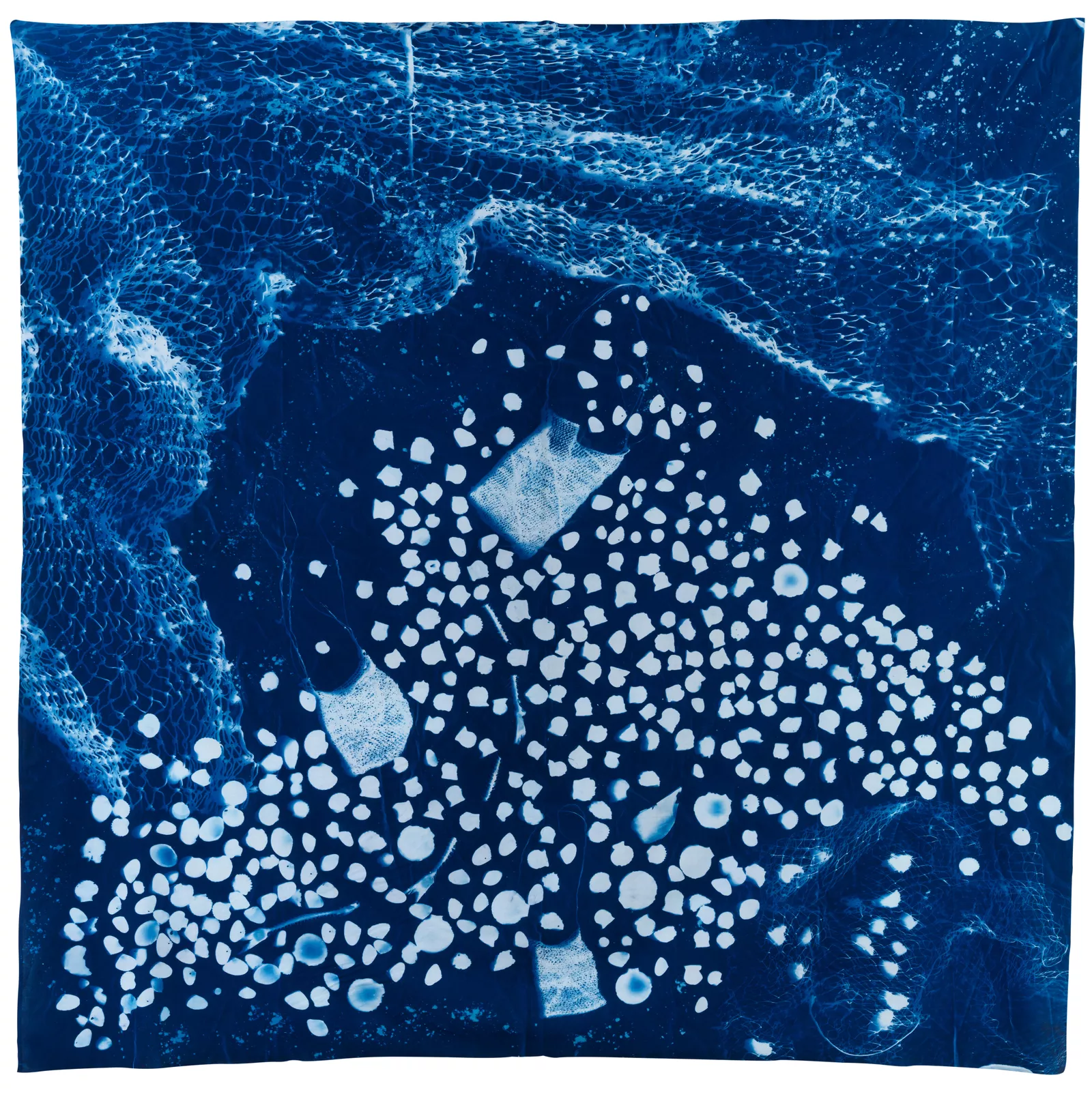 Sonja Carmichael and Elisa Jane Carmichael - AGSA