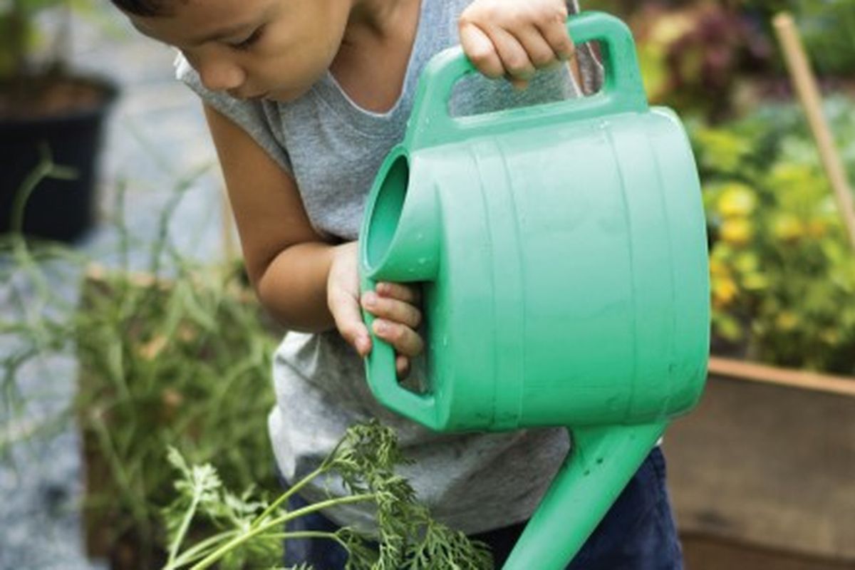 WELS Water Labelling and Standards - Smart Water Advice