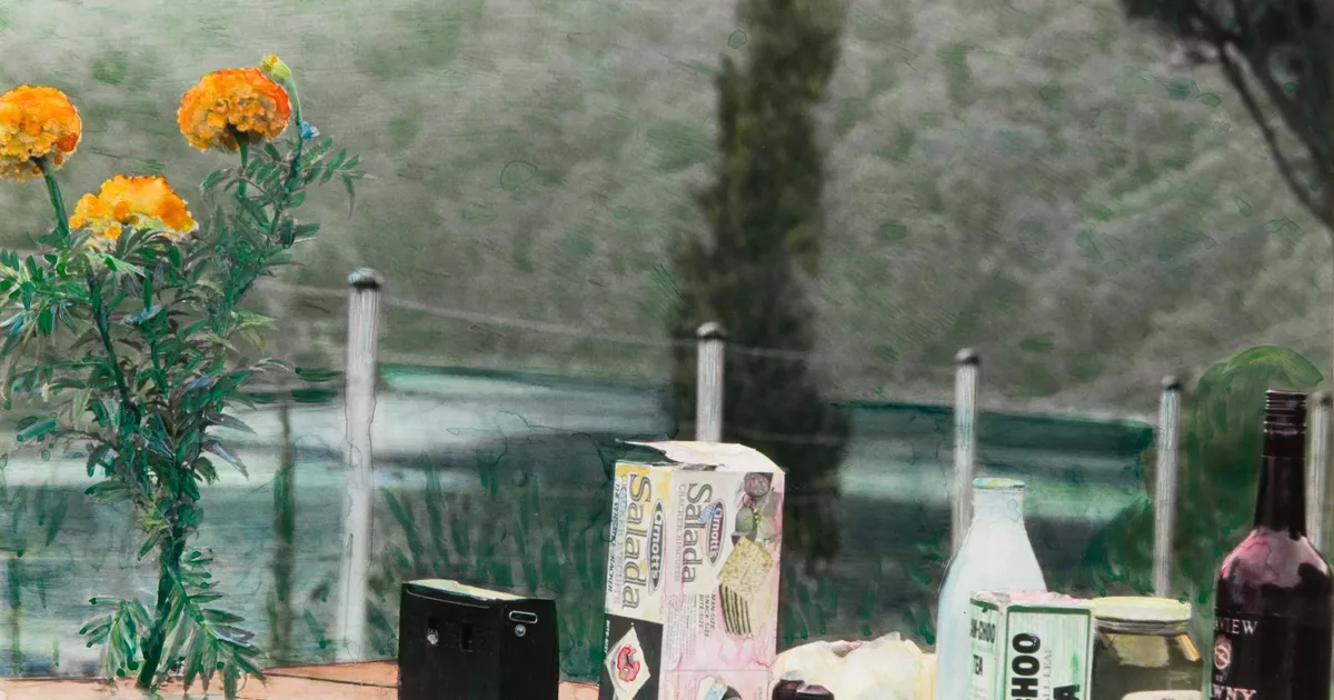 Still life with Salada biscuits, Nepean River Dam, N.S.W. - AGSA Collection