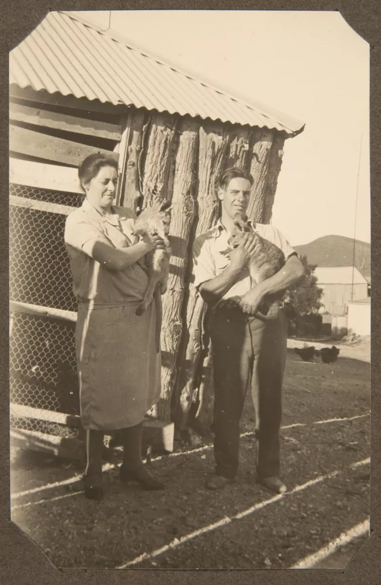 Wallabies and residents, Blinman hotel - AGSA Collection