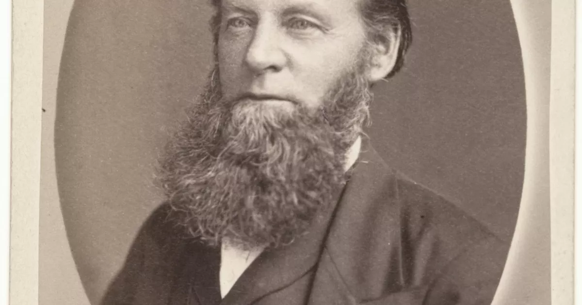 Portrait of bearded gentleman - AGSA Collection