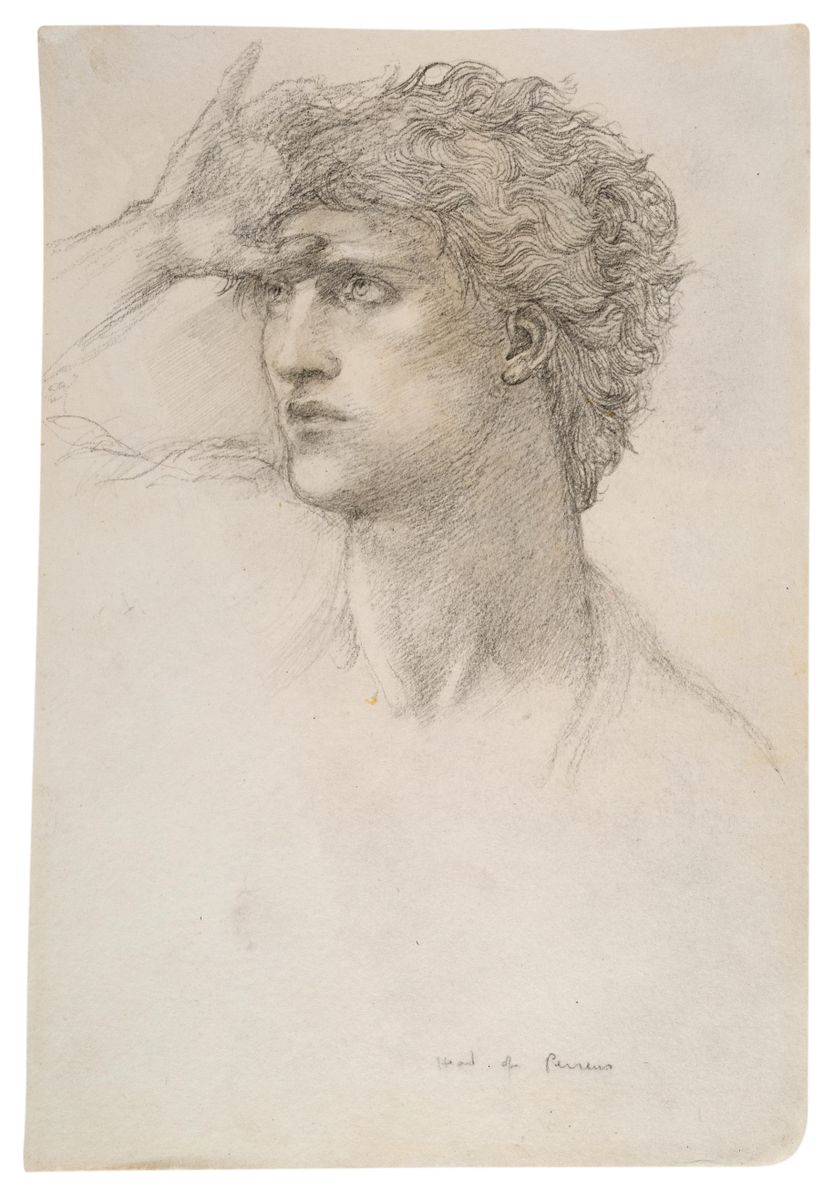 Study of the head of Perseus for the painting 'The Call of Perseus ...