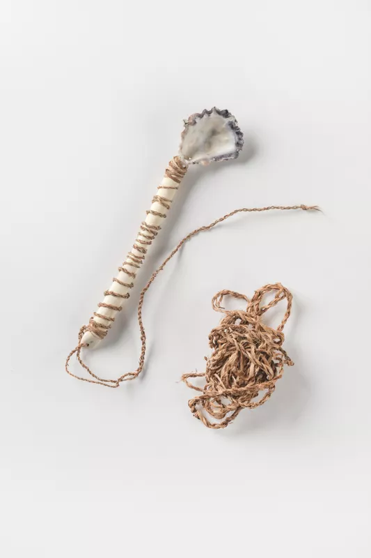 Sonja Carmichael and Elisa Jane Carmichael - AGSA