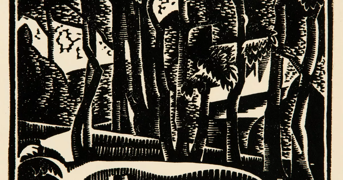 Gum trees - AGSA Collection