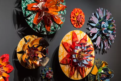 Brian Robinson - AGSA