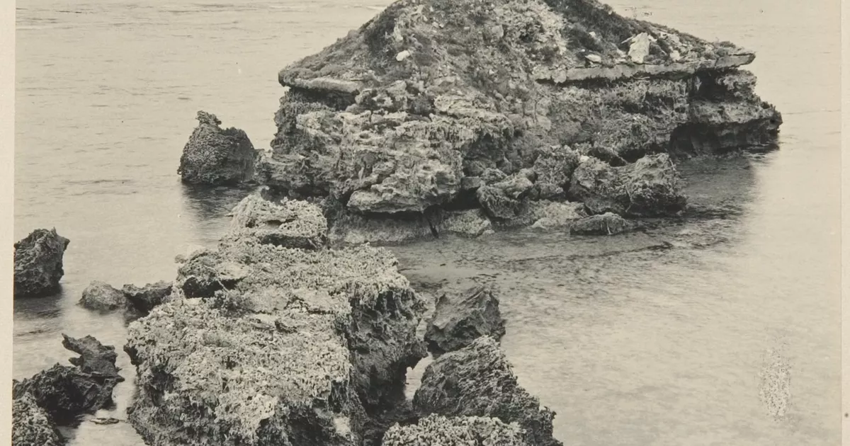 Haystack Island, south east coast - AGSA Collection