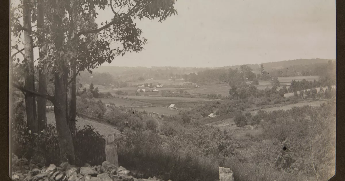 Piccadilly Valley, bluestone in foreground - AGSA Collection