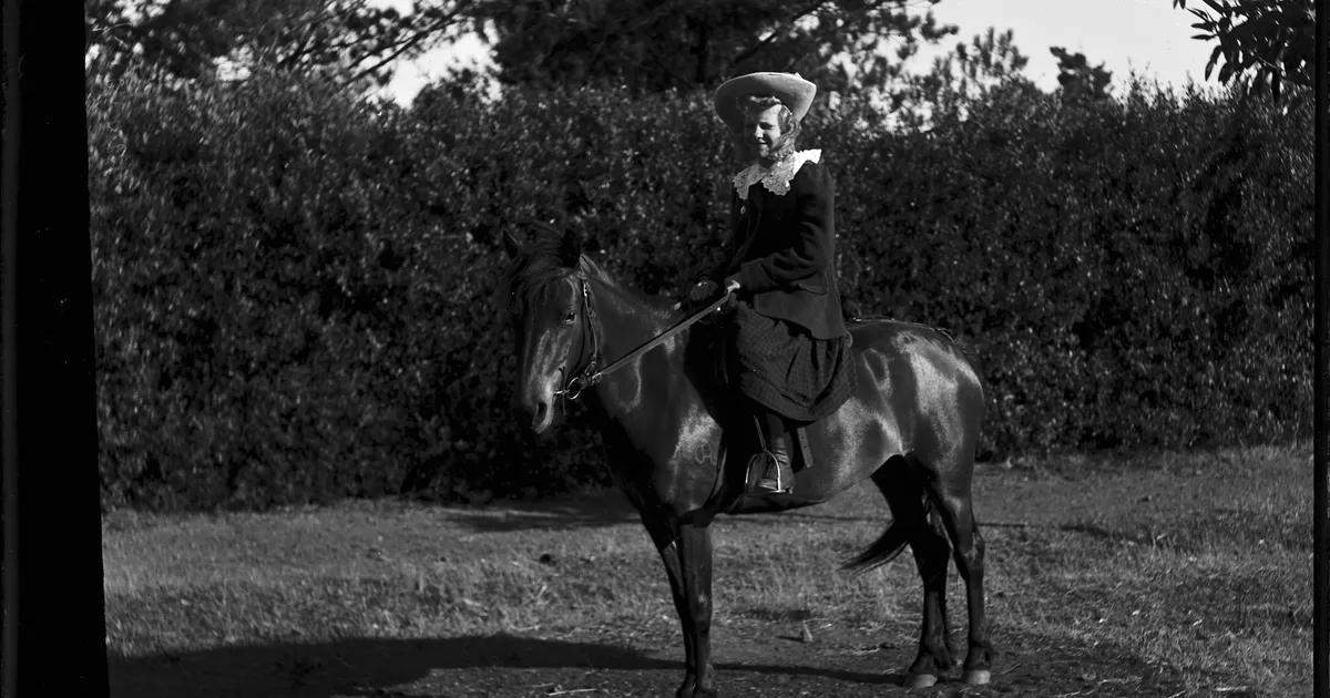 Portrait of girl on pony, hedge at rear - AGSA Collection