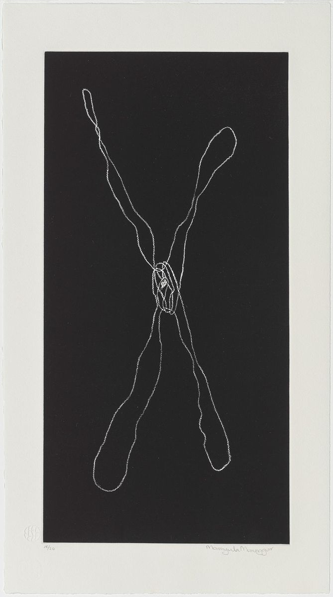 Rupo Yalu (possum nest) - String figure - AGSA Collection