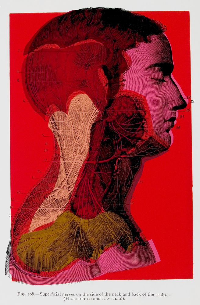 Artist in Focus: Barbara Hanrahan - AGSA