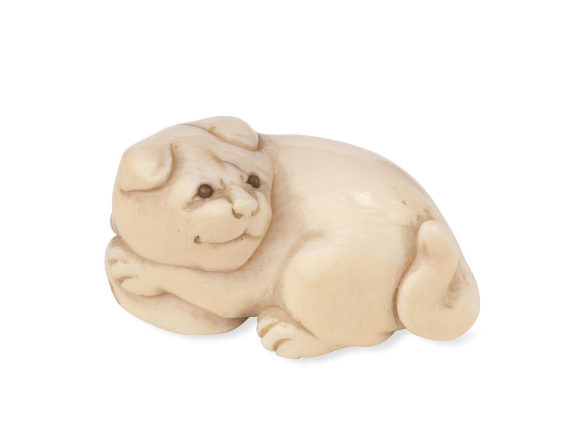 Netsuke, puppy with clam shell - AGSA Collection