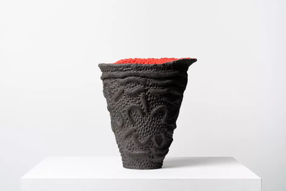 Josina Pumani - AGSA