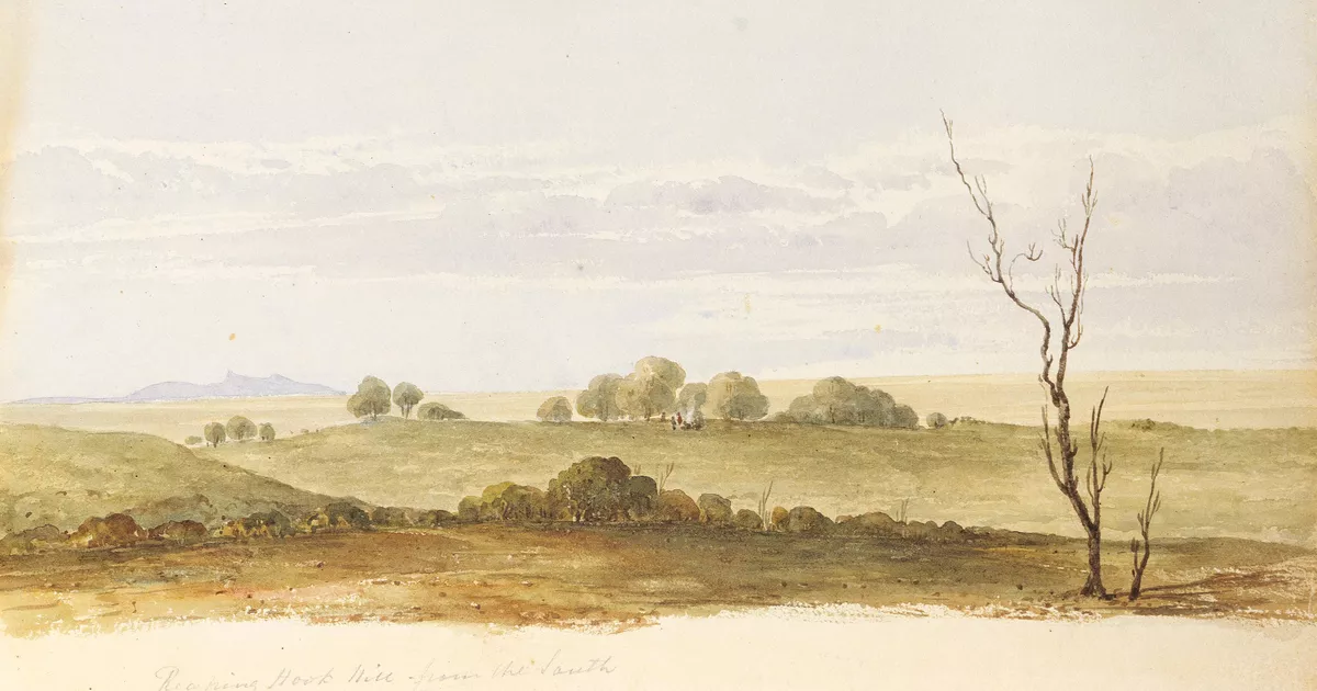 Reaping Hook Hill from the South - AGSA Collection
